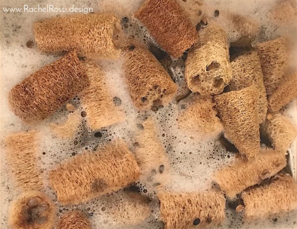 How to Grow Luffa & Make your own Sponges | Rachel Rossi