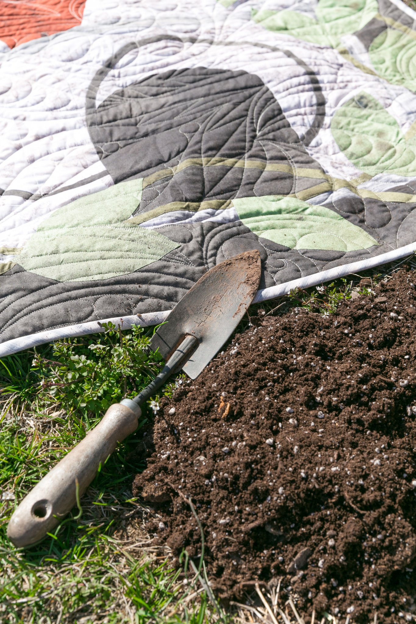 2023 Block of the Month | Rachel Rossi