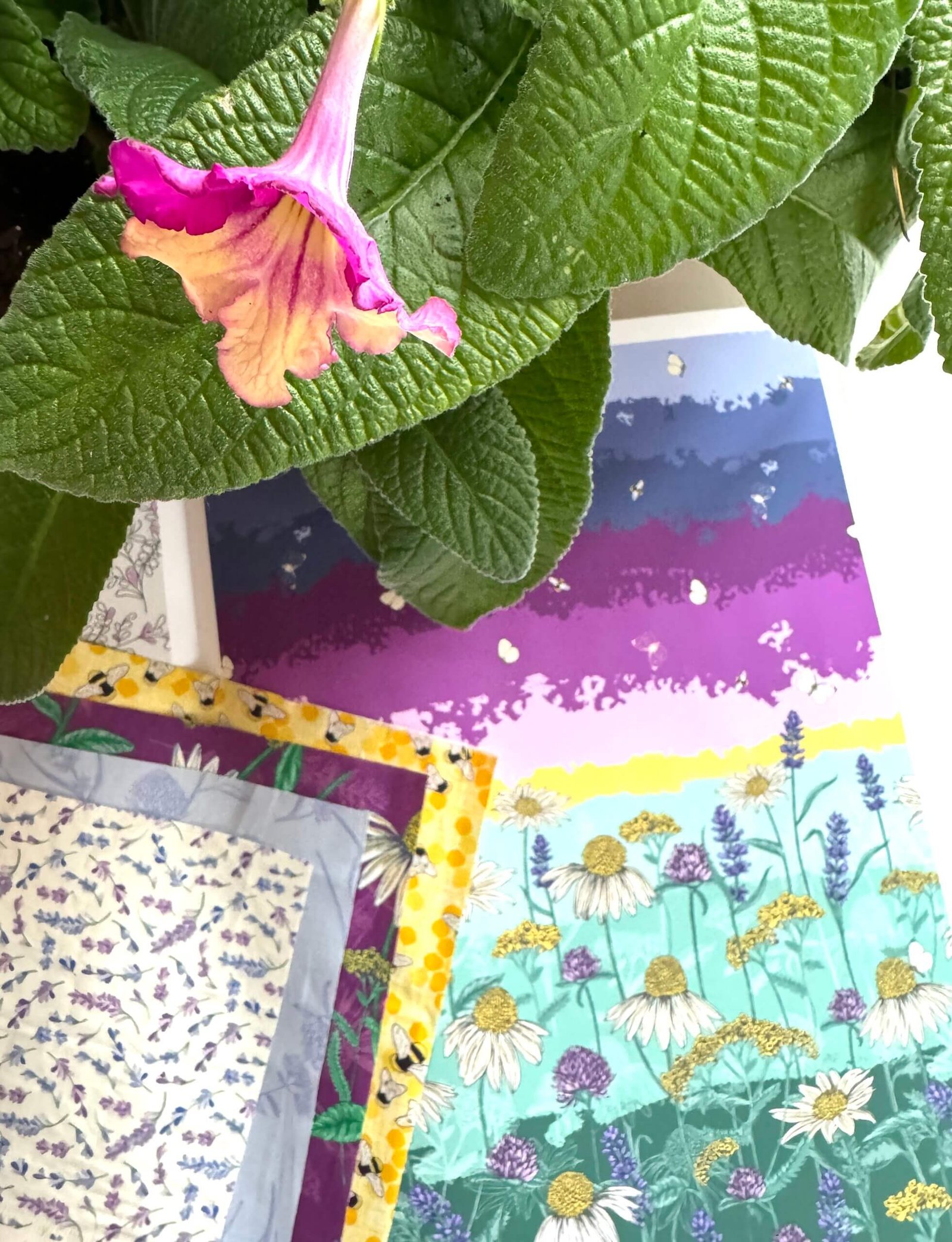 Bee Haven | Rachel Rossi